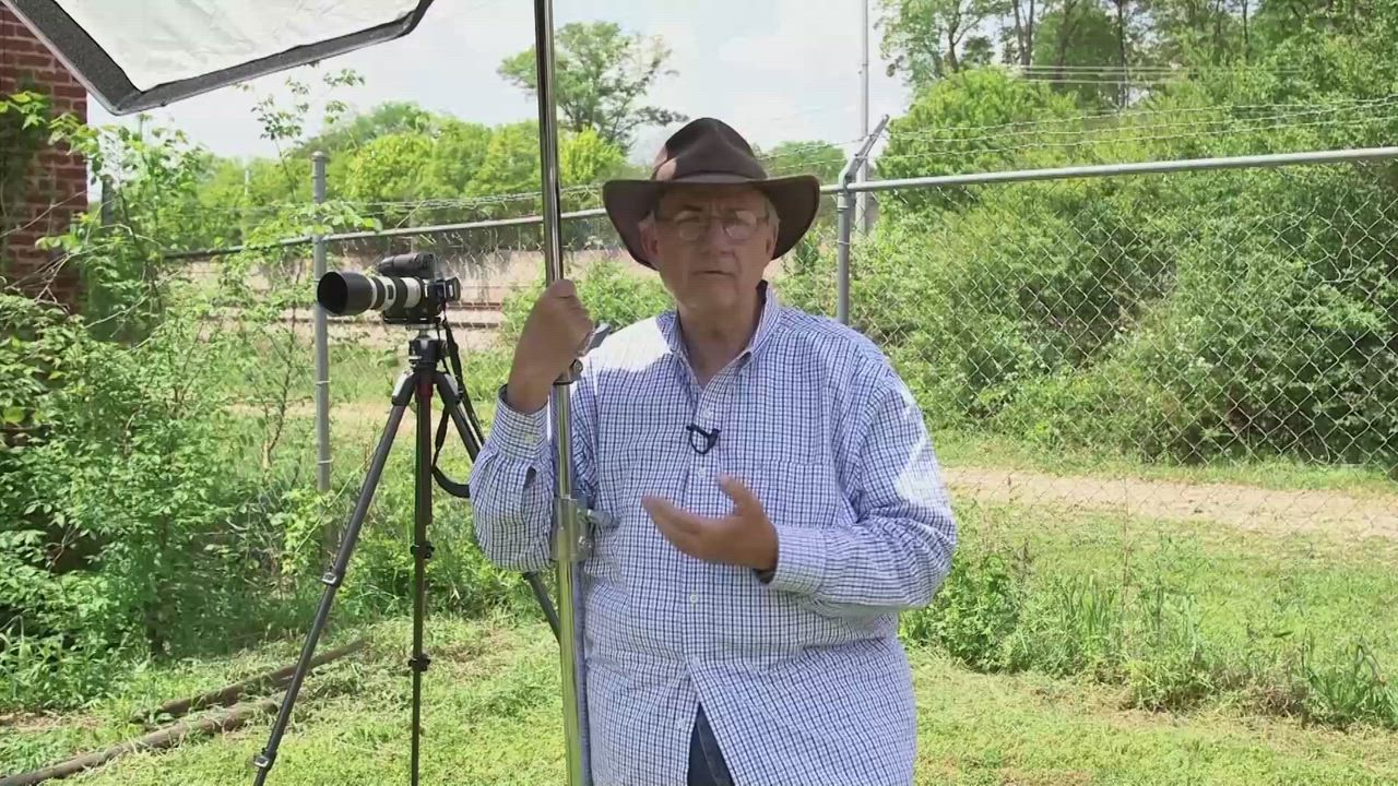 Tony Corbell | Professional Photographers of America